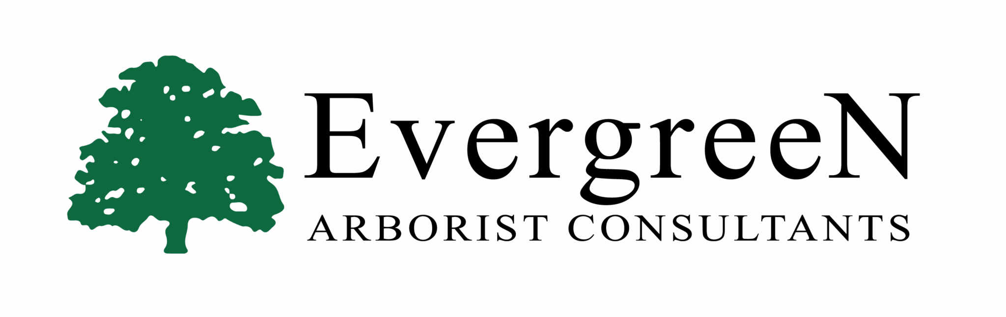 Dwarf Redwoods: Growth, Care & Landscaping Tips